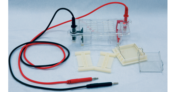 Small Horizontal Gel Electrophoresis Apparatus | BT Lab Systems