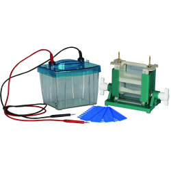 P100 Micropipette for pipetting 10-100µl using disposable tips | BT Lab ...