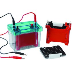 P20 Micropipette for pipetting 2-20µl using disposable tips | BT Lab ...