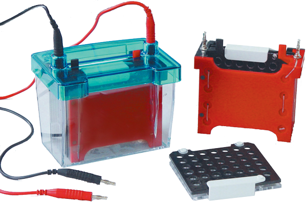 Wet/Tank Blotting System for Sale | BT Lab Systems