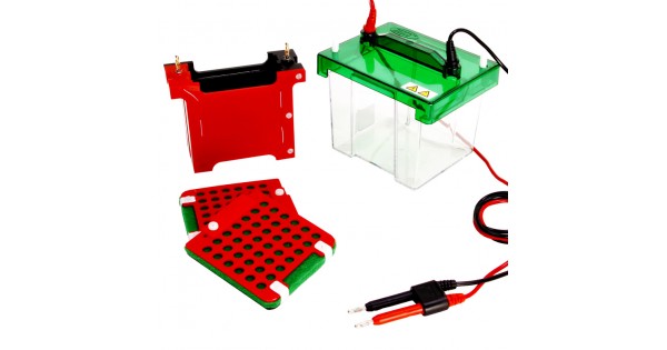 Western Blot Wet Transfer Equipment | BT Lab Systems