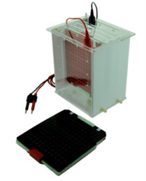 Replacement Wet Transfer Tank | BT Lab Systems