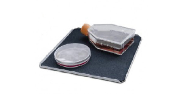 Non Slip Shaking platform for Orbital shakers | BT Lab Systems