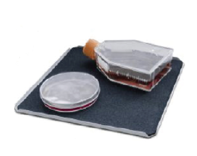 Non Slip Shaking platform for Orbital shakers | BT Lab Systems