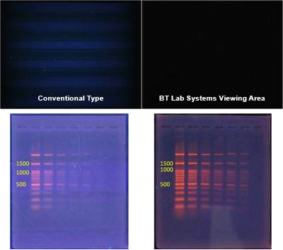 Dual Wavelength UV Transilluminator | BT Lab Systems